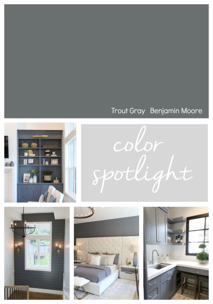 Benjamin Moore Trout Gray: Color Spotlight
