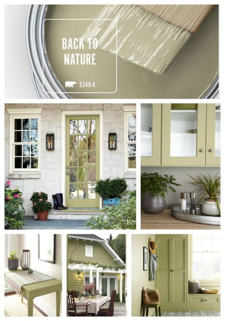 2020 Colors of the Year